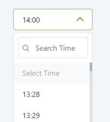 Dropdown Select Time - Overview (O11) | OutSystems